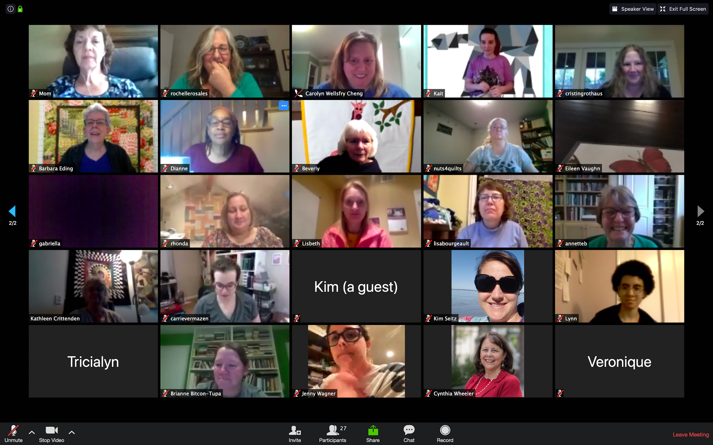 Hosting Our First Virtual Meeting – Silicon Valley Modern Quilt Guild